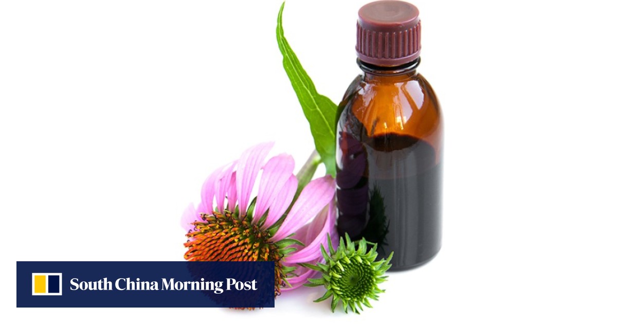 6 herbal remedies to boost your immune system as flu season kicks in ...