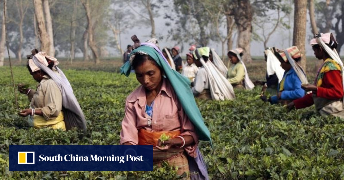 Asia needs US$800 billion in 10 years to feed itself, report shows ...