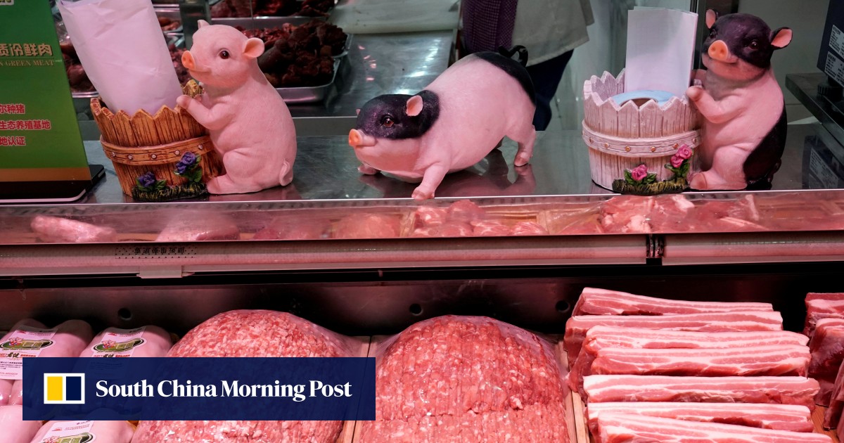China pork crisis far from over, despite green shoots of recovery in ...