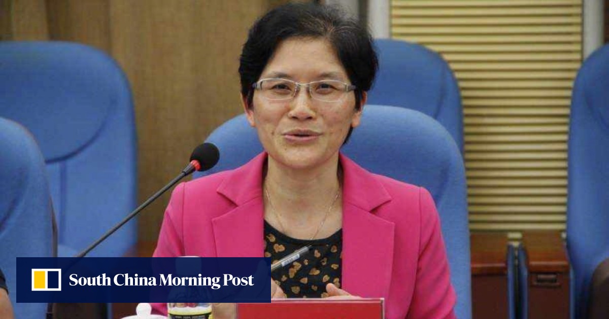 Chinese judge behind US$270 million business empire sacked, facing ...