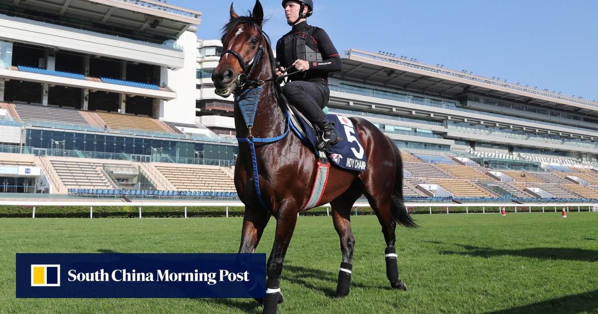 HKIR: Japanese raiders give a glimpse of what’s to come with lively Sha ...