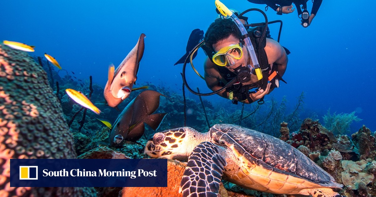 How scuba diving can boost mental health and mindfulness, and lower ...