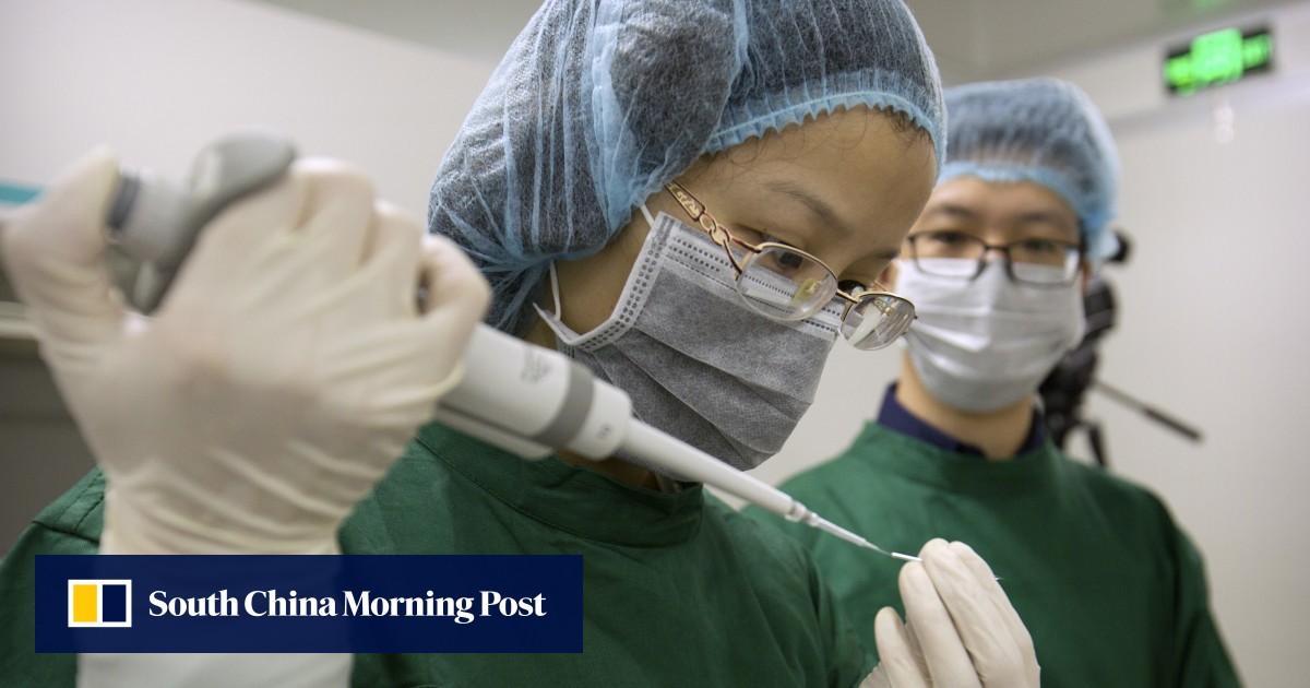 A year since China’s gene-edited baby scandal, here’s how the ...