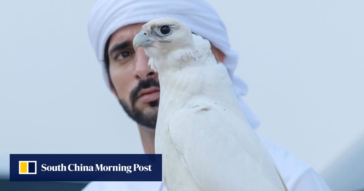 Sheikh Hamdan, crown prince of Dubai – 4 things to know about the ...