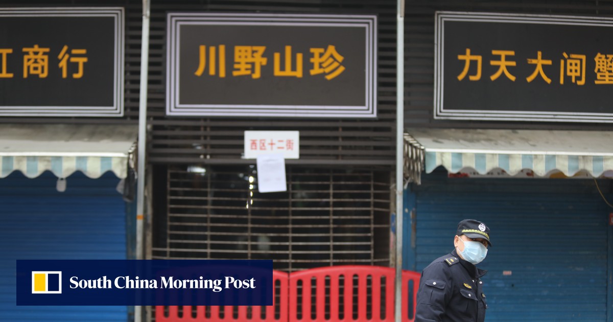 World Health Organisation ‘closely monitoring’ China’s viral pneumonia ...