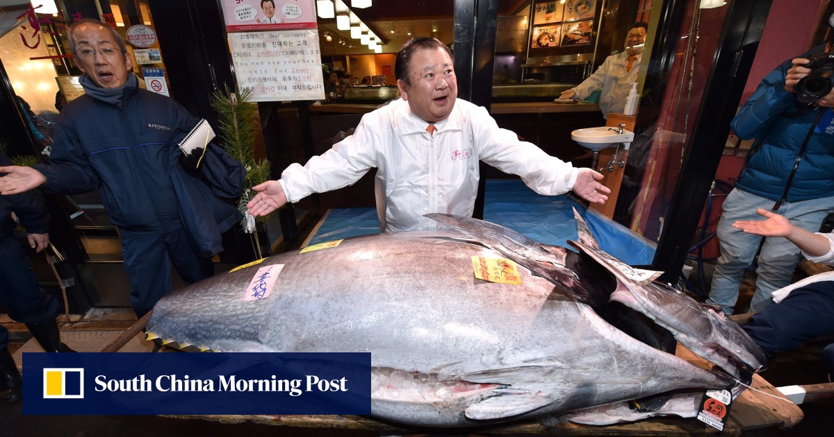 Sushi king pays US$1.8 million for bluefin tuna that weighs as much as ...