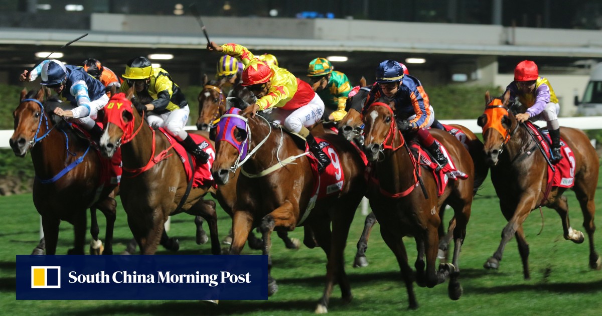 Demand ensures nine-race midweek cards will continue indefinitely | HK ...