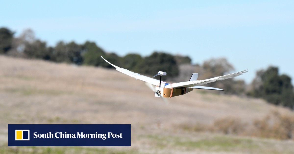 Meet ‘PigeonBot’, the drone taking scientists one step closer to the ...