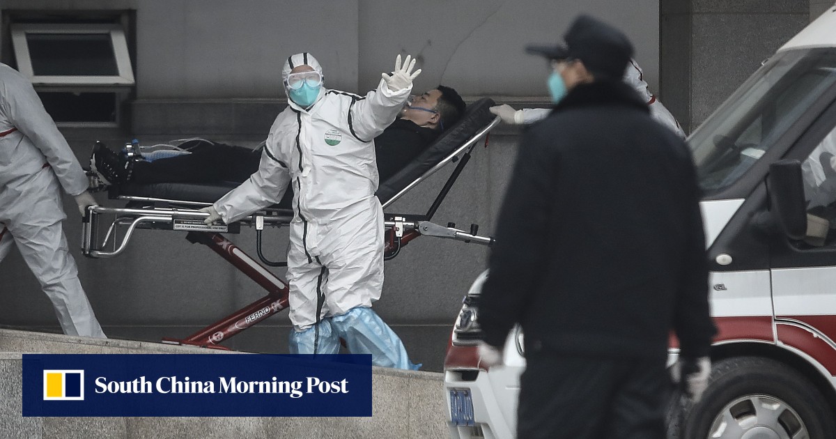 China’s post-Sars reporting system may explain long delays in ...