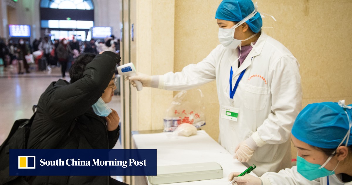 China coronavirus may have come from a snake, researchers say | South ...