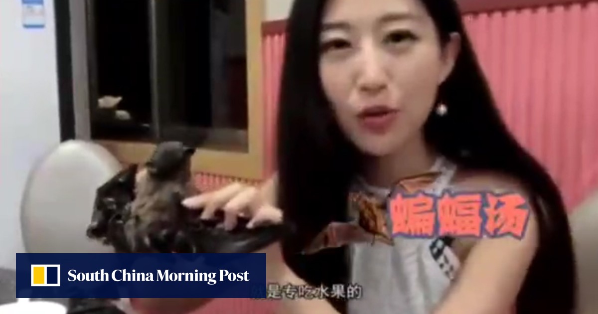 ‘Sorry about the tasty bat’: Chinese online host apologises for travel ...