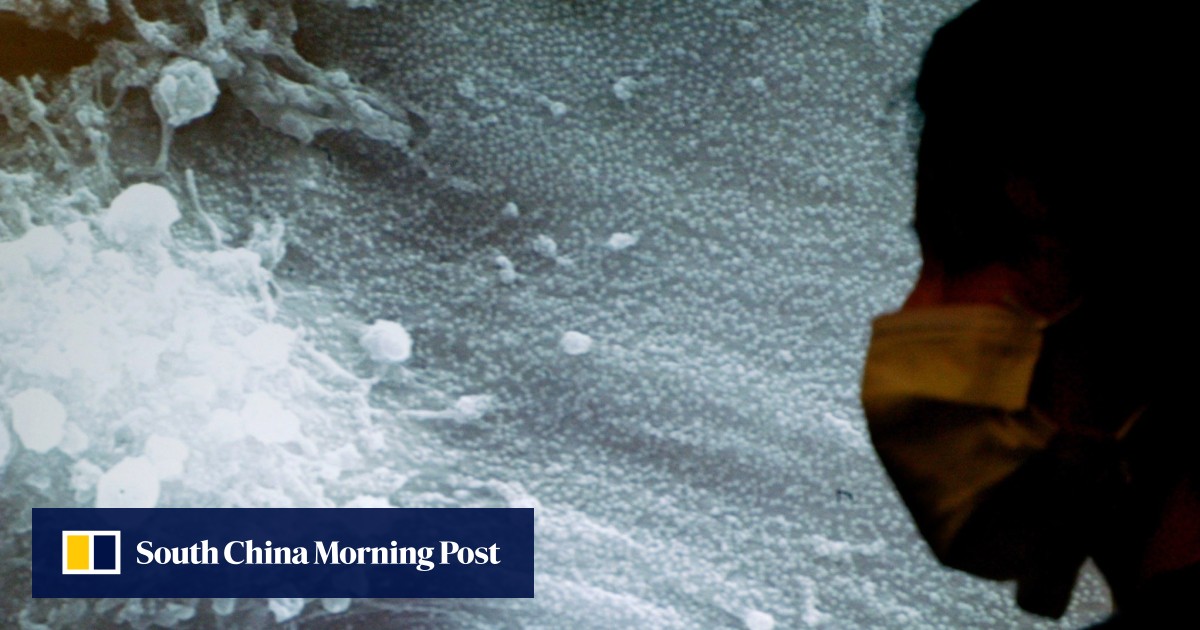 Coronavirus versus Sars – a tale of two viruses | South China Morning Post