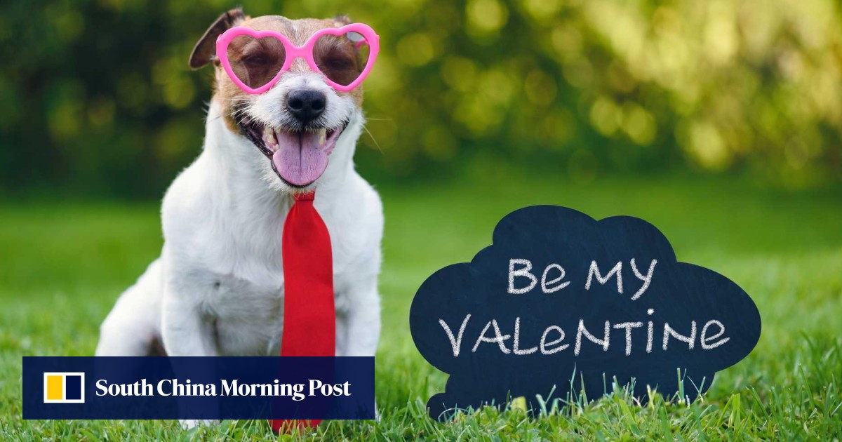 Valentine’s Day explainer: how did the holiday of love start, and why ...