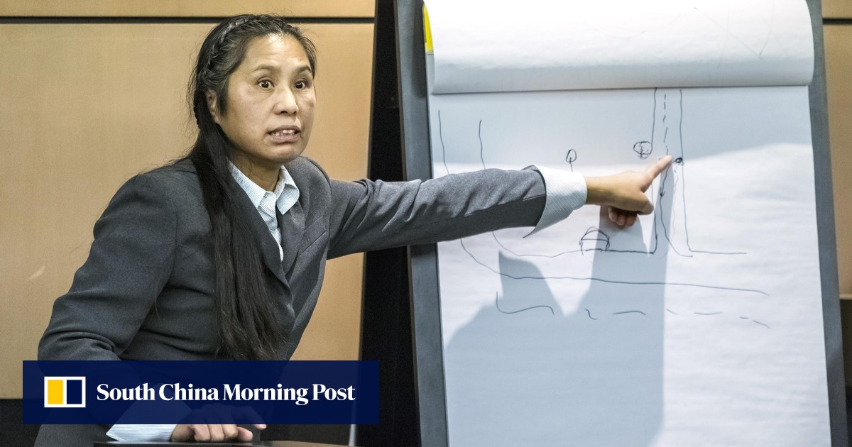 Chinese woman Lu Jing found not guilty of trespassing at Trump’s Mar-a ...