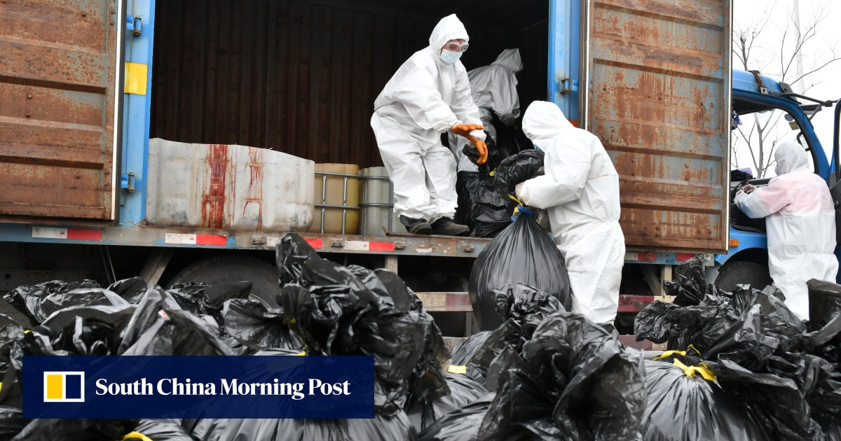 Coronavirus: China struggling to deal with mountain of medical waste ...