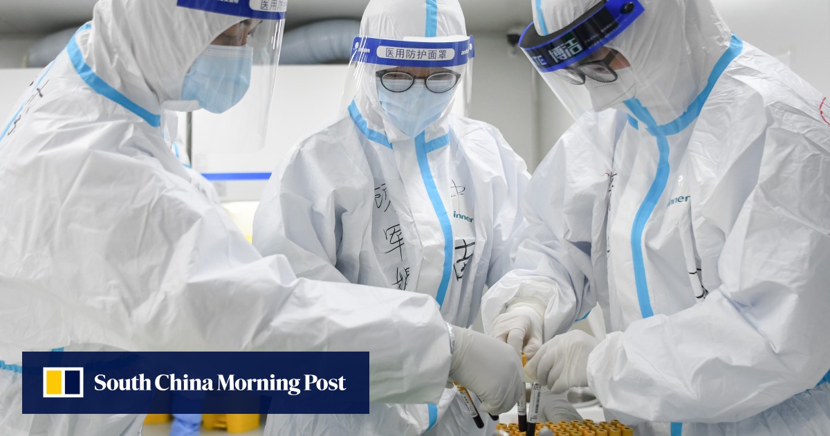 Testing, testing, testing: Chinese doctors advise on how to contain the ...