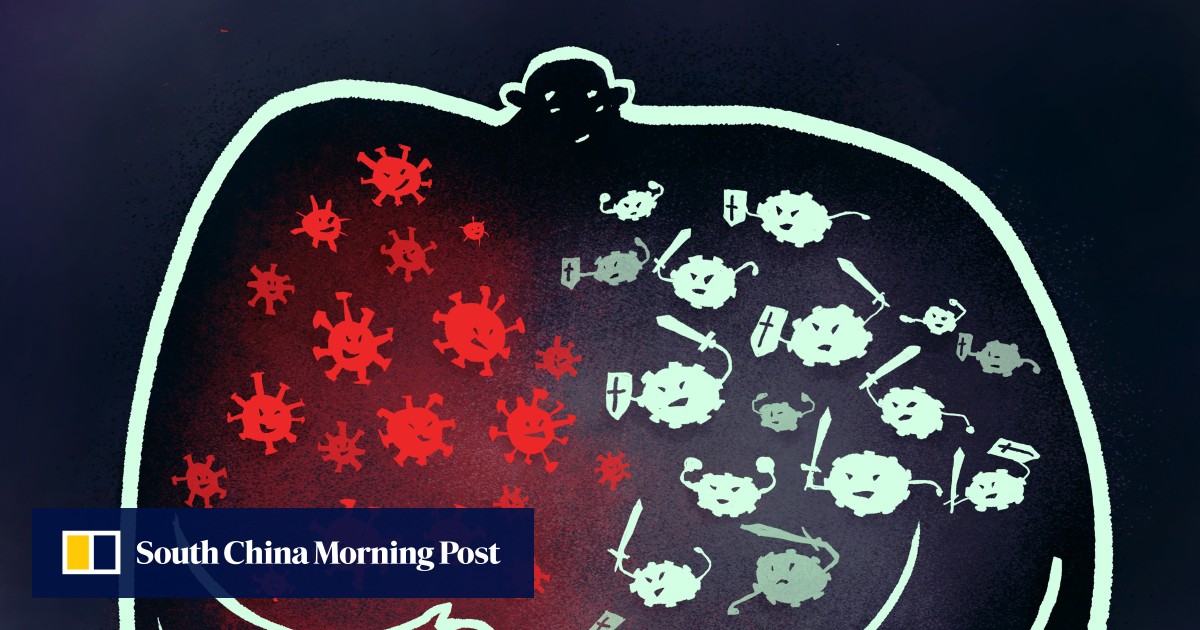 Coronavirus vs the human immune system: the brutal microscopic war for ...