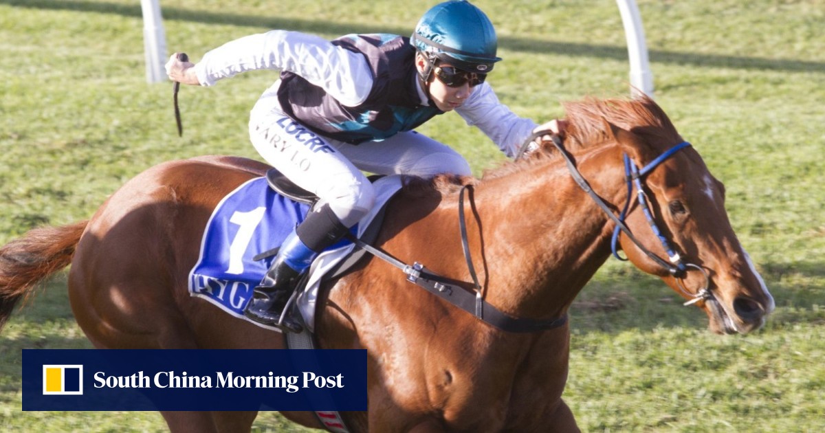 Apprentice Gary Lo sensationally sacked by the Jockey Club | HK Racing ...