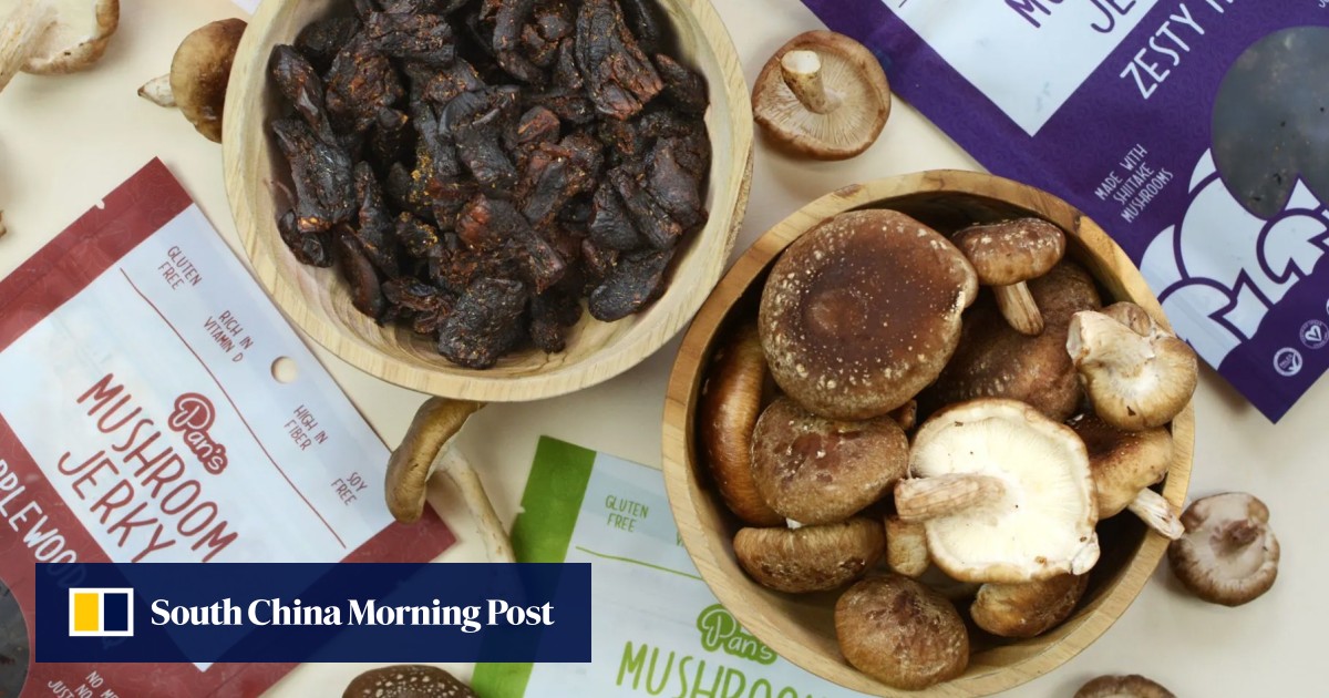 Why mushrooms are magic: health benefits, nutritional properties and ...