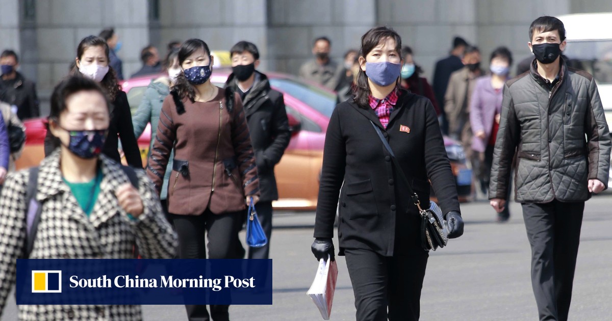 North Korean authorities say there are confirmed coronavirus cases ...