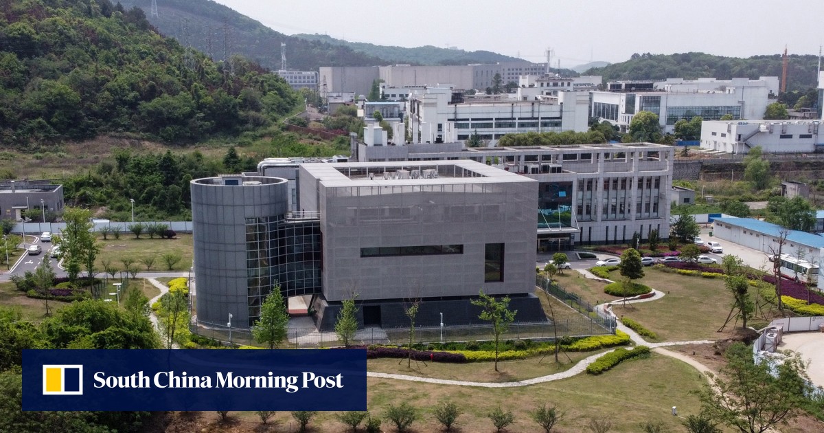 The coronavirus, the Chinese lab and the attempts to connect the two ...