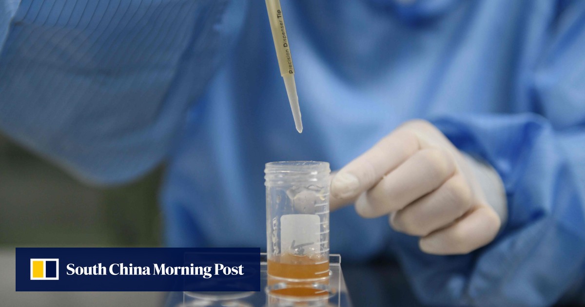 China to roll out large-scale coronavirus testing as country gets back ...
