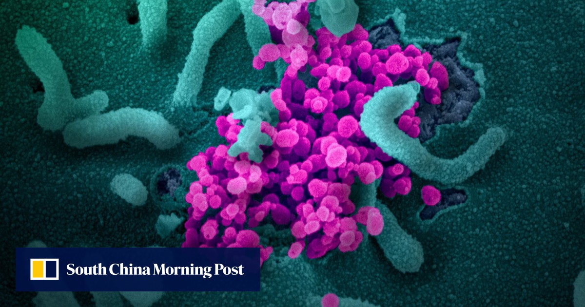 Politico | US officials probe threat of coronavirus bioweapon | South ...