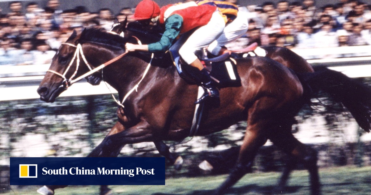 Can Beauty Generation pass Silent Witness and a horse John Moore won ...