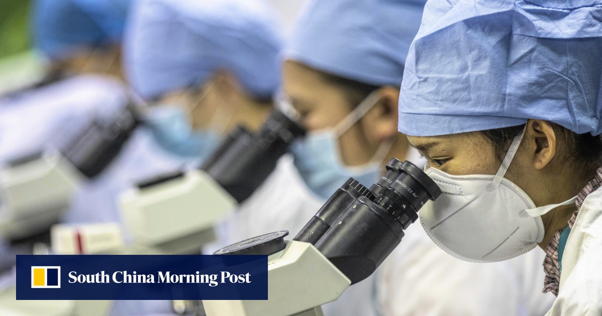 Chinese Covid-19 test kit outstrips alternatives in Dutch study | South ...