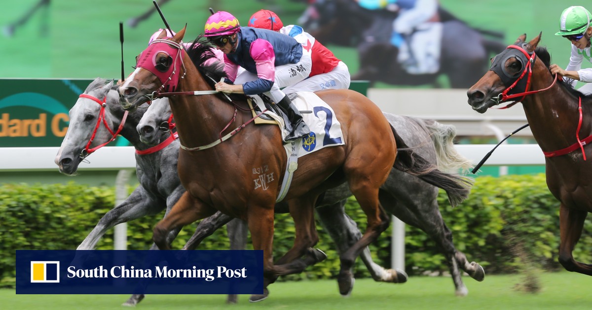 John Moore confident Thanks Forever can win a Group One for his next ...