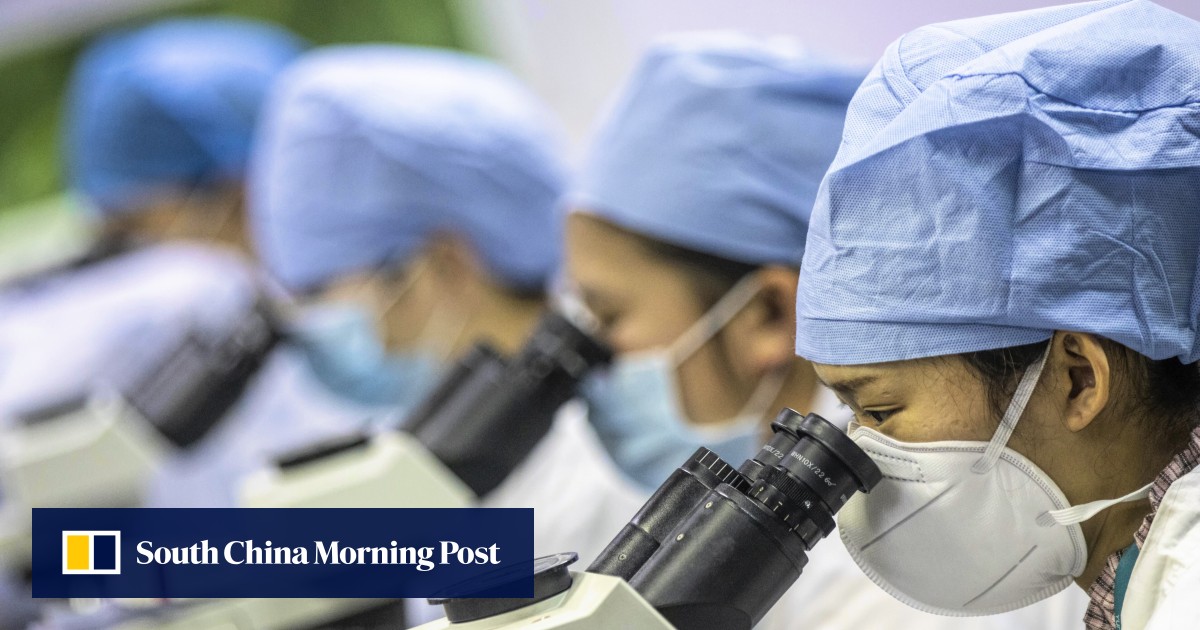 China accelerates plan to build 700 state-backed labs by end of this ...