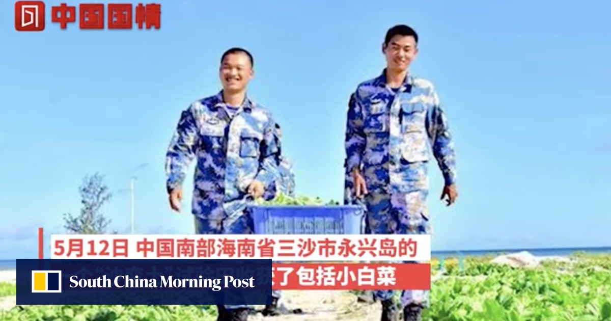 South China Sea: is this vegetable patch the answer to the Chinese navy ...