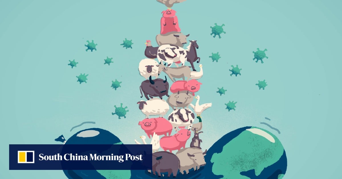 Industrial farming of livestock a ticking pathogen bomb, scientists say ...