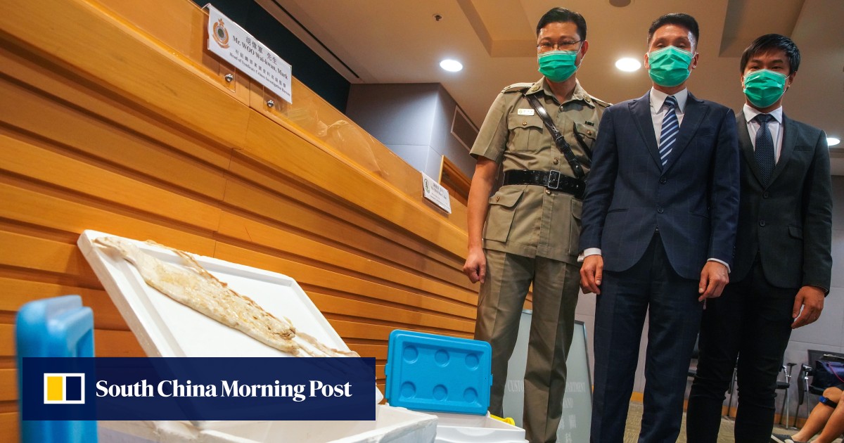 Five arrested and fish bladders worth HK$25 million seized by Hong Kong ...