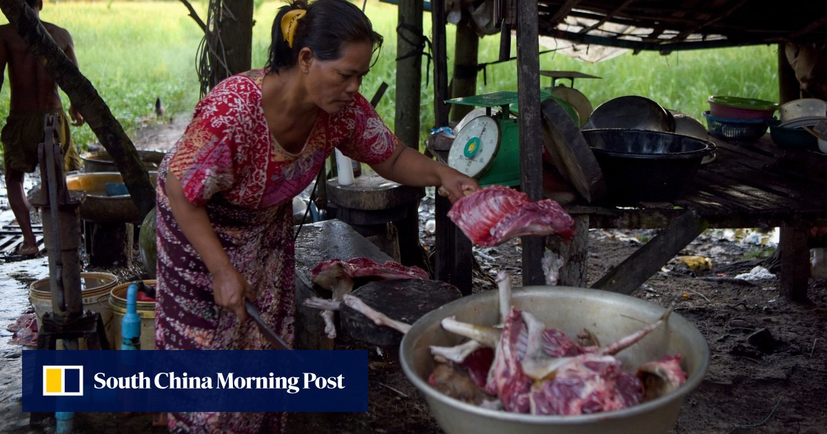 Dog meat banned in Siem Reap, the tourist town that became Cambodian ...