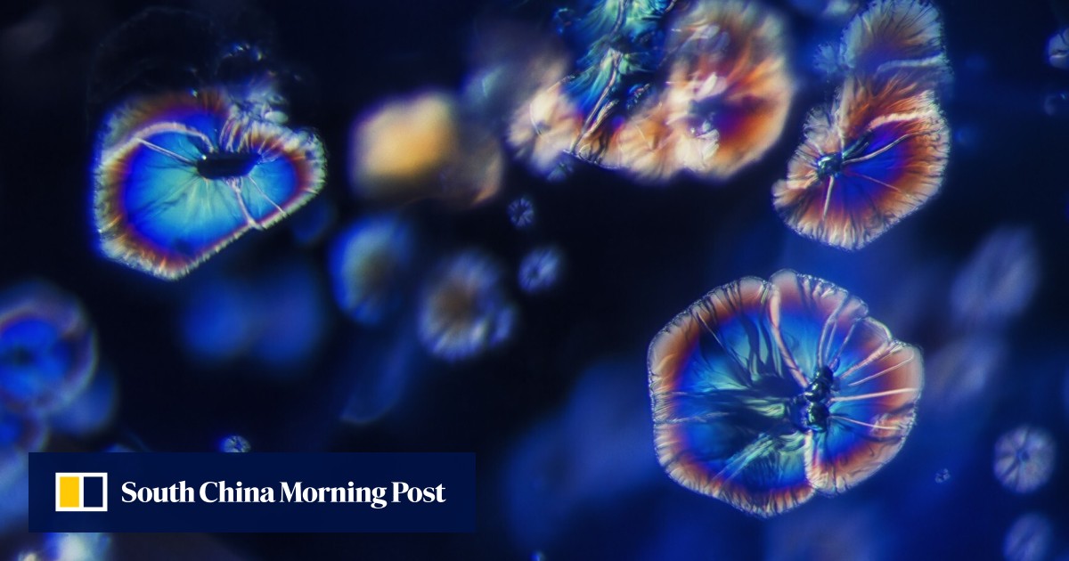 Precious gems go under the microscope in Hong Kong exhibition | South ...