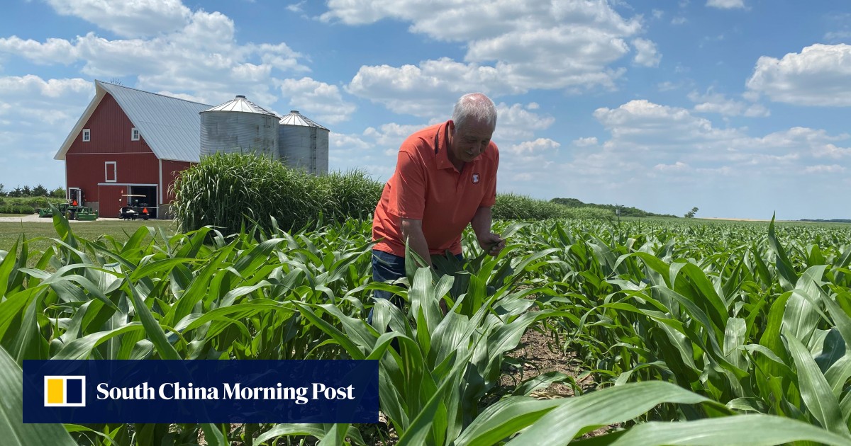 Politico | ‘Here’s your cheque’: Donald Trump’s farm bailouts could ...