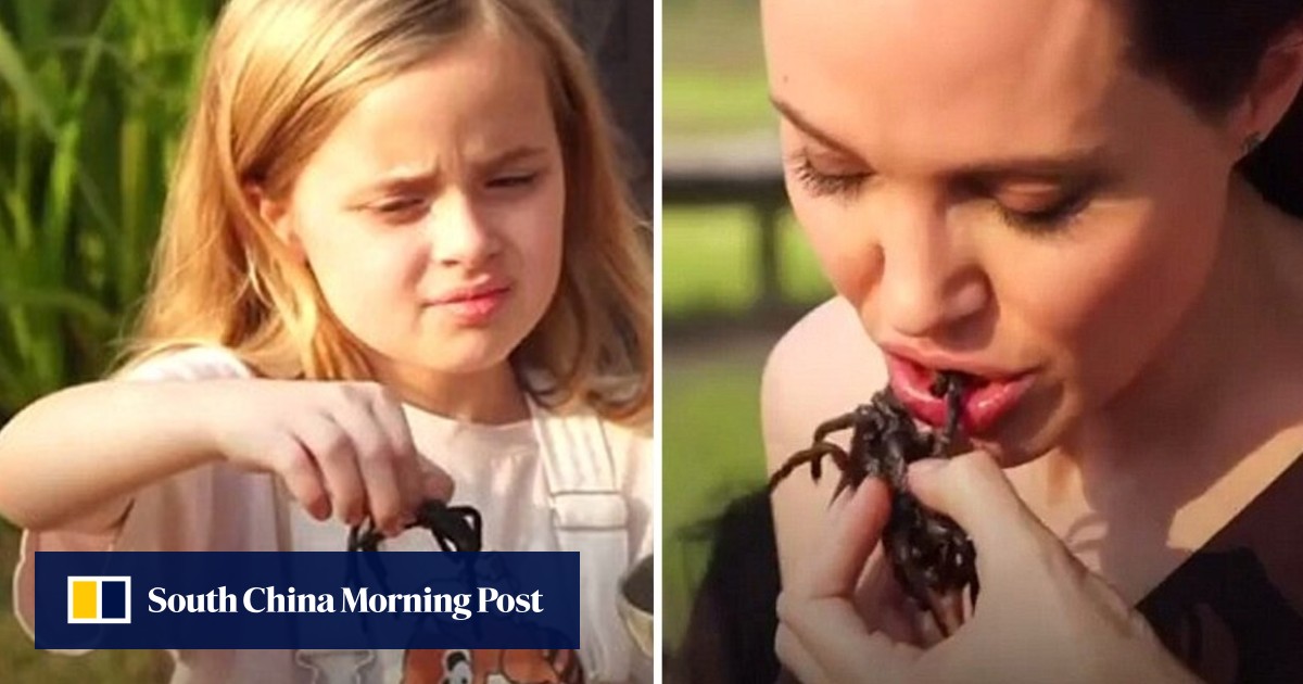 Angelina Jolie, Zac Efron and Justin Timberlake eat bugs, and so do 2 ...