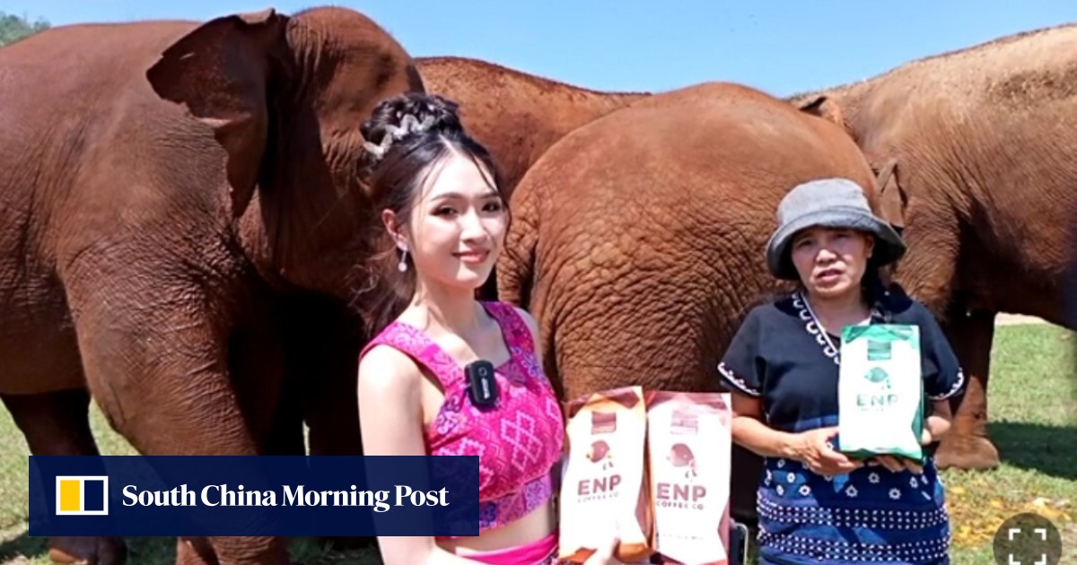 How coronavirus helped Shopee and Lazada bring China’s live-stream ...