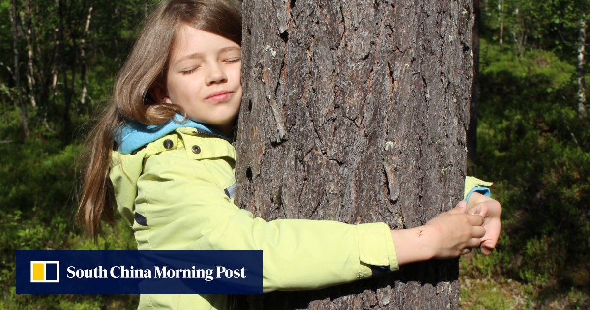 Tree-hugging now has a world champion – and you can join in online, too ...