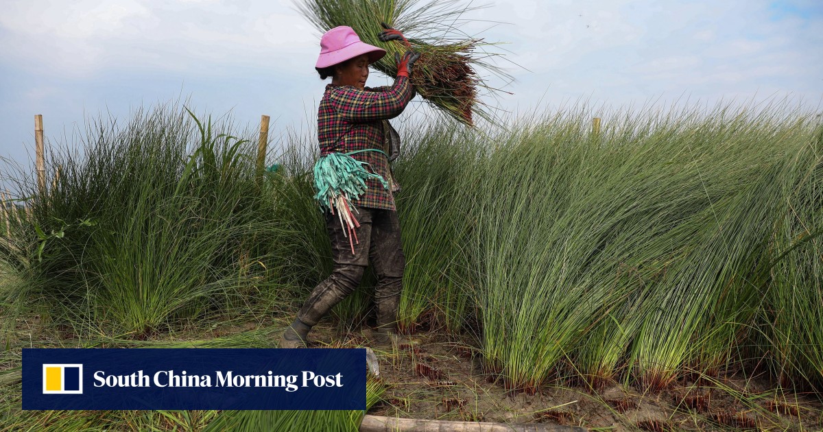 China’s Xi urges revival of old rural distribution system to boost ...