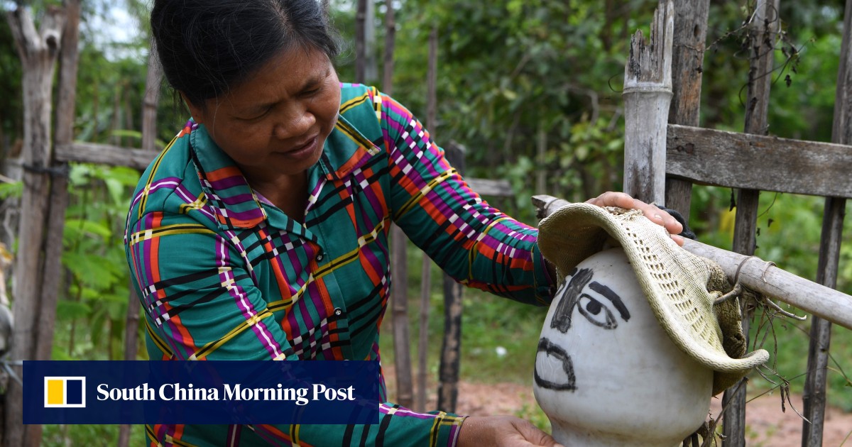 In Cambodia, coronavirus ‘scarecrows’ deployed by farmers to ward off ...