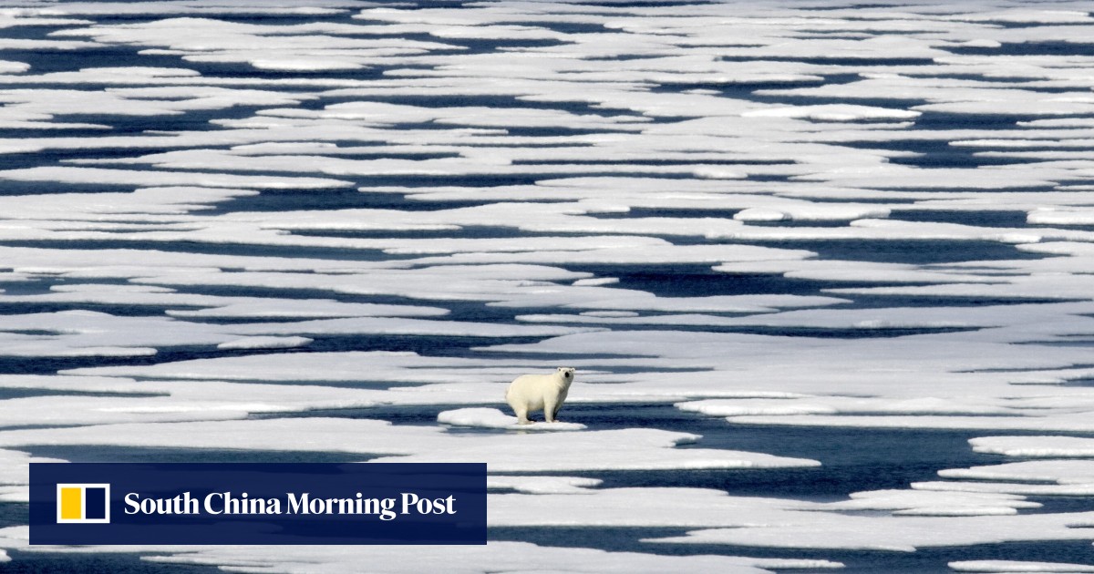 ‘Arctic is dying’: grim warning after biggest North Pole mission ...