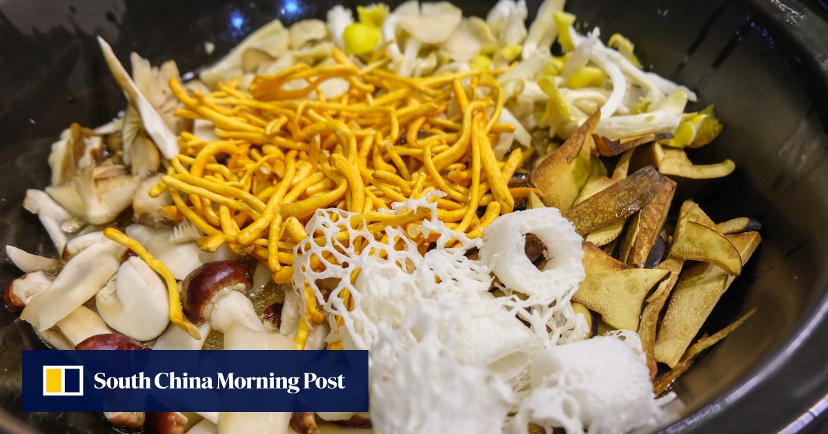 China’s Yunnan: magical mushrooms and stick insects on a food tour in ...