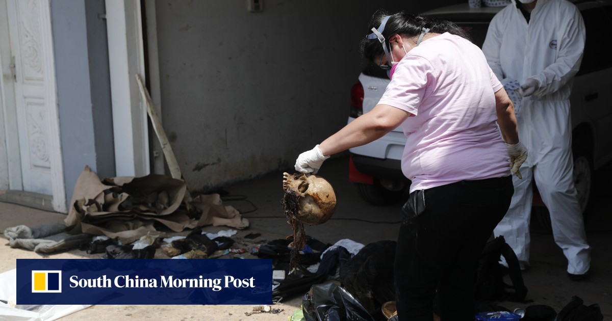 Five decomposed bodies found in fertiliser shipment from Serbia to ...