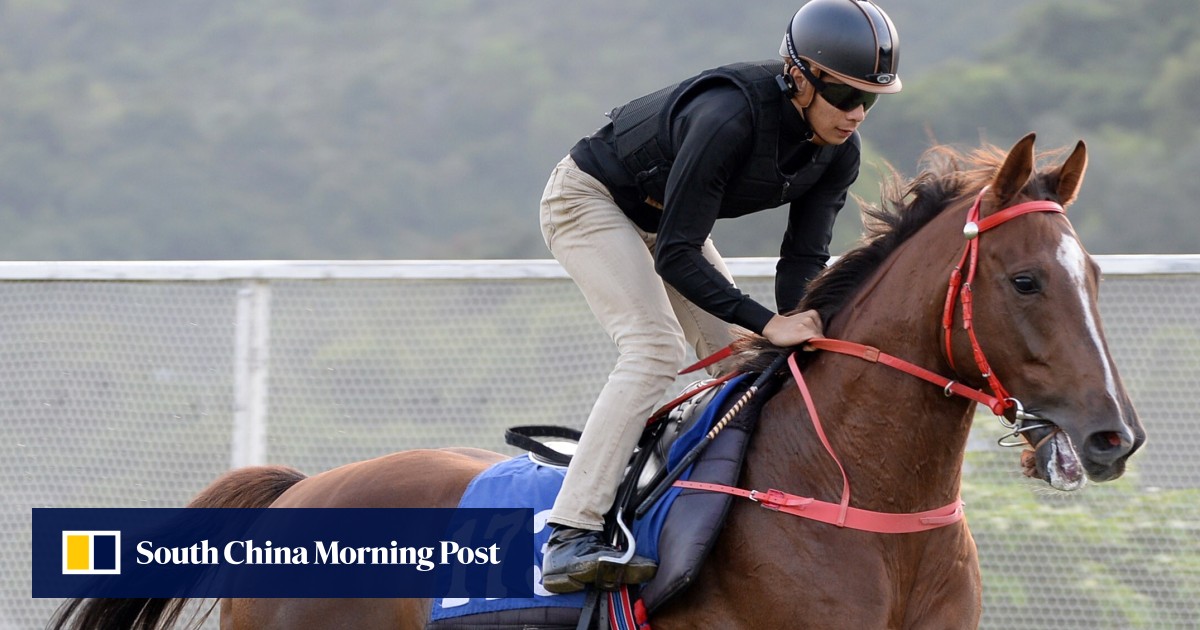 Danny Shum happy for tricky Irish import to be a Valley specialist ‘for ...