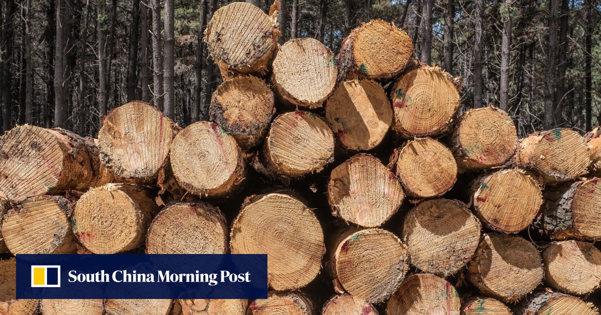 China-Australia relations: import ban on Australian copper, sugar ...