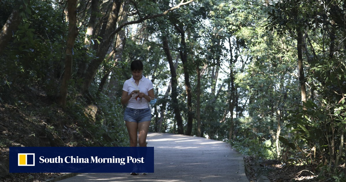 Lung Fu Shan, Hong Kong’s smallest country park, is right on the city’s ...