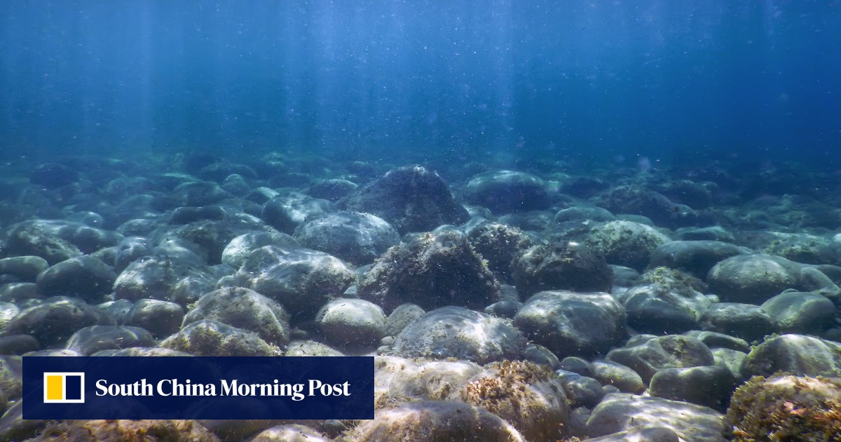 Chinese Scientists Find Material In Rock That ‘may Show Origin Of Life
