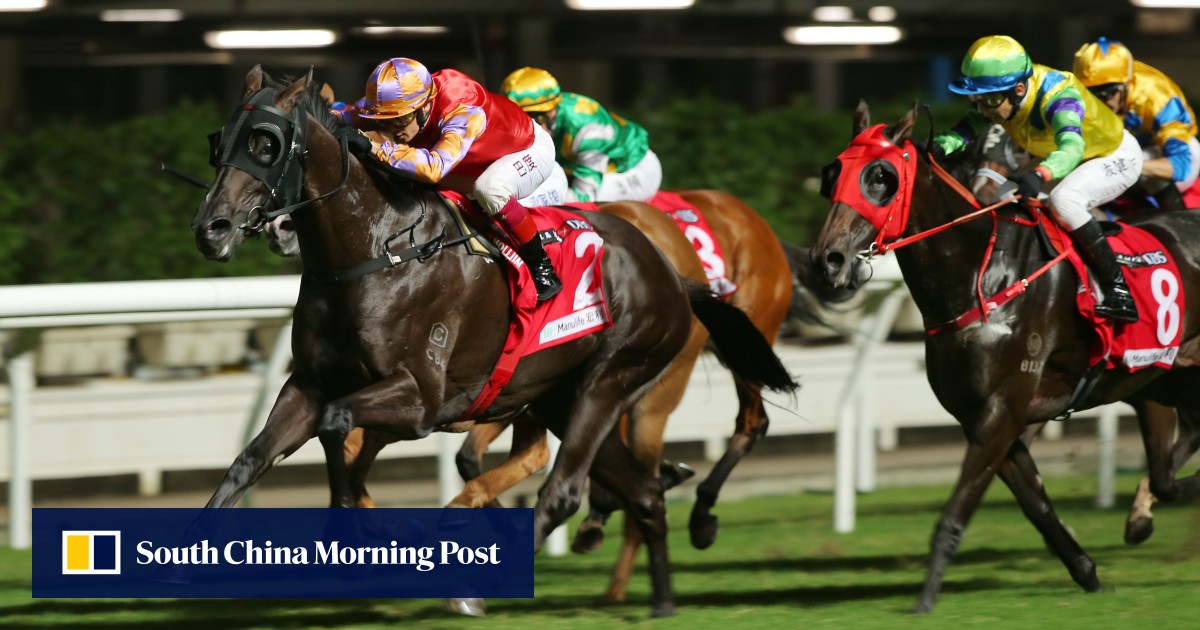From money muncher to punters’ pal: Alexis Badel enjoying transformed ...